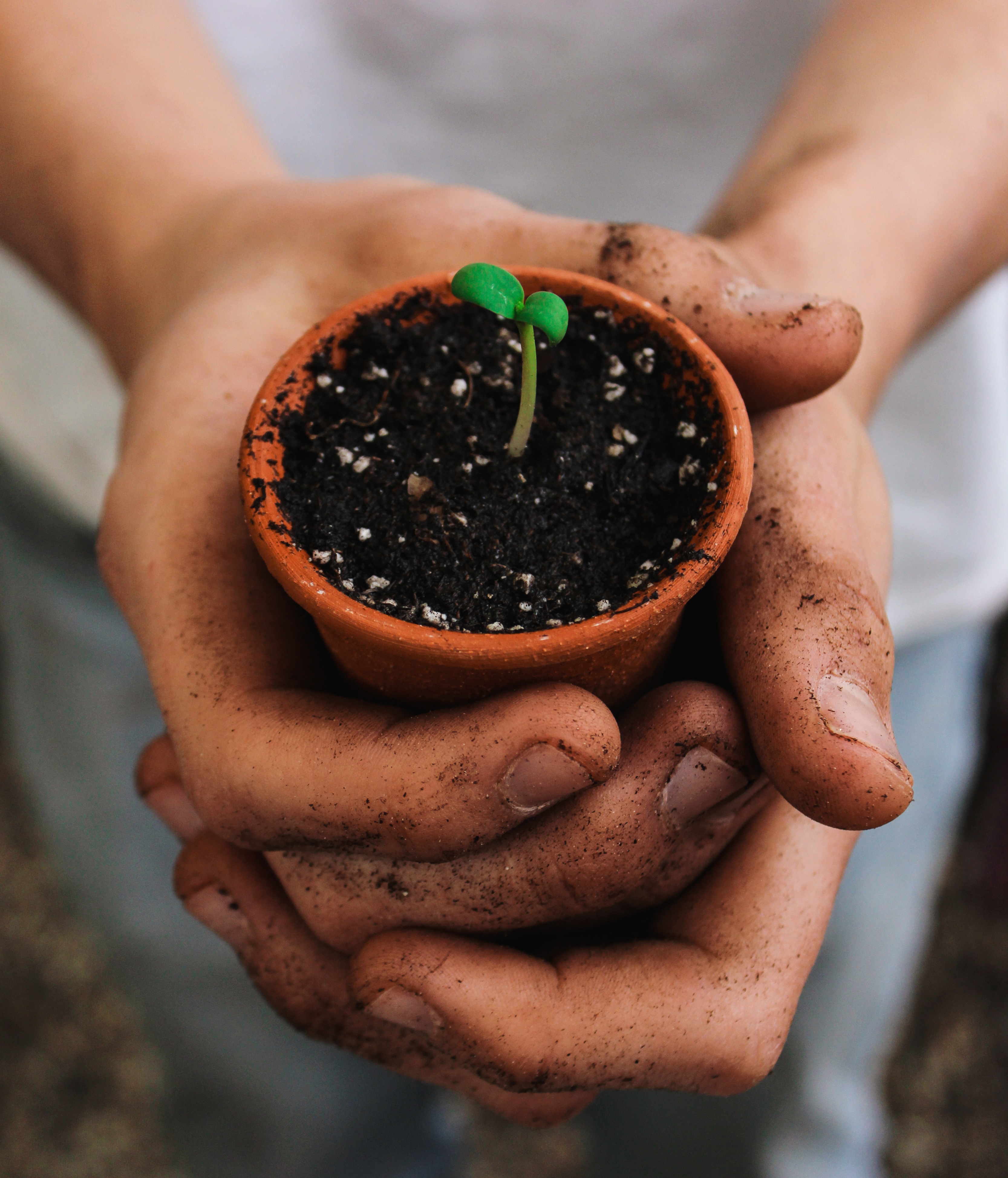baby - Michigan Education Association